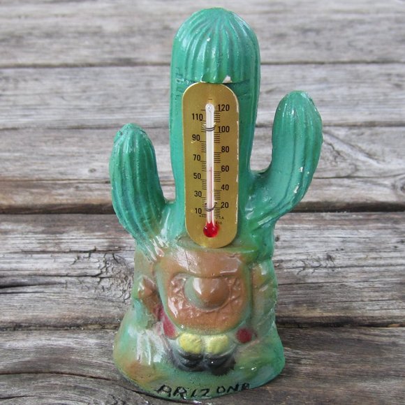 Vintage | Accents | Chalkware Cactus Thermometer Arizona Vintage Mcm ...